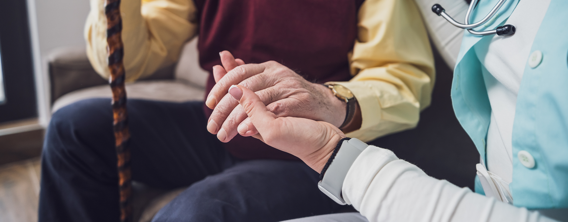 Discover Steadi-3 | ET Management and Solutions | Steadiwear